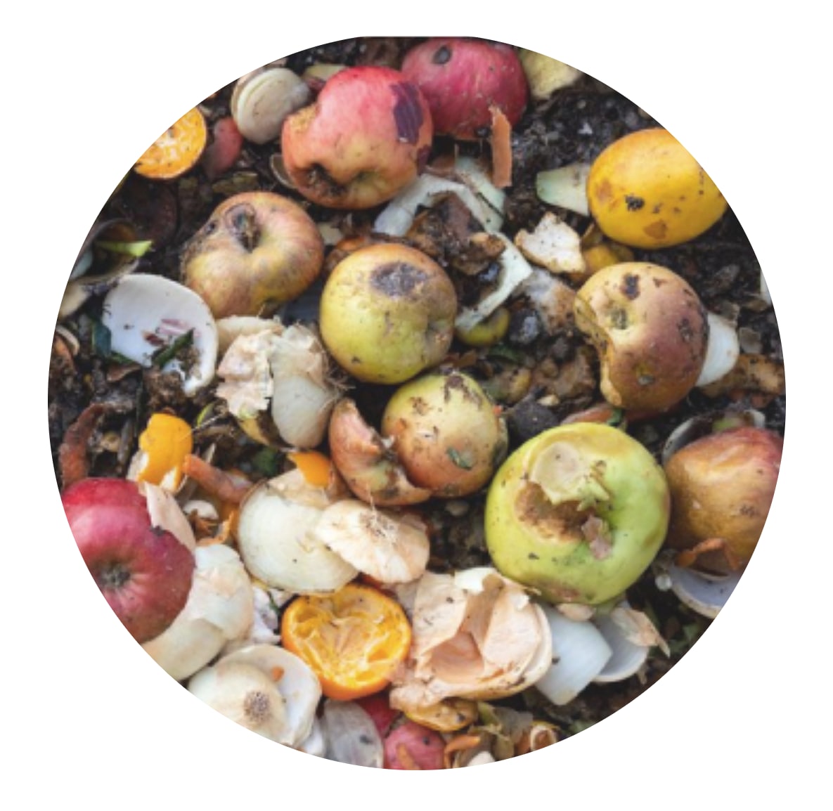 Kai Yi Chen's Tech Portfolio